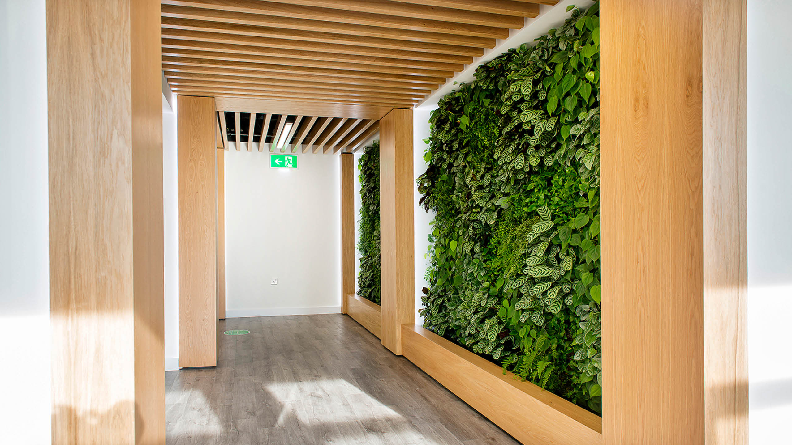 Castle Chambers, Liverpool | Amspec