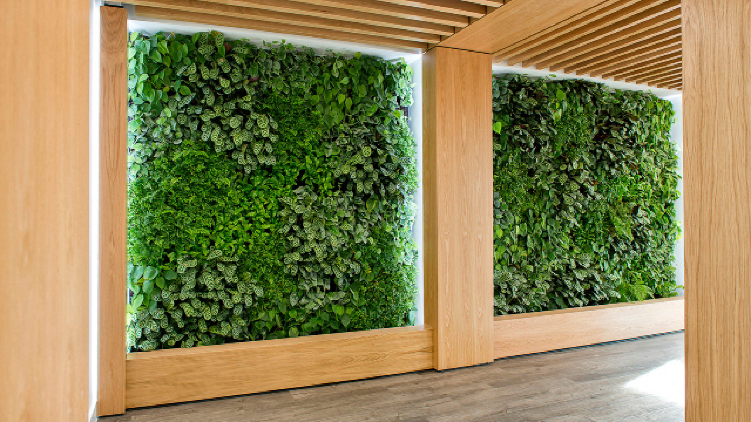 Castle Chambers, Liverpool | Amspec